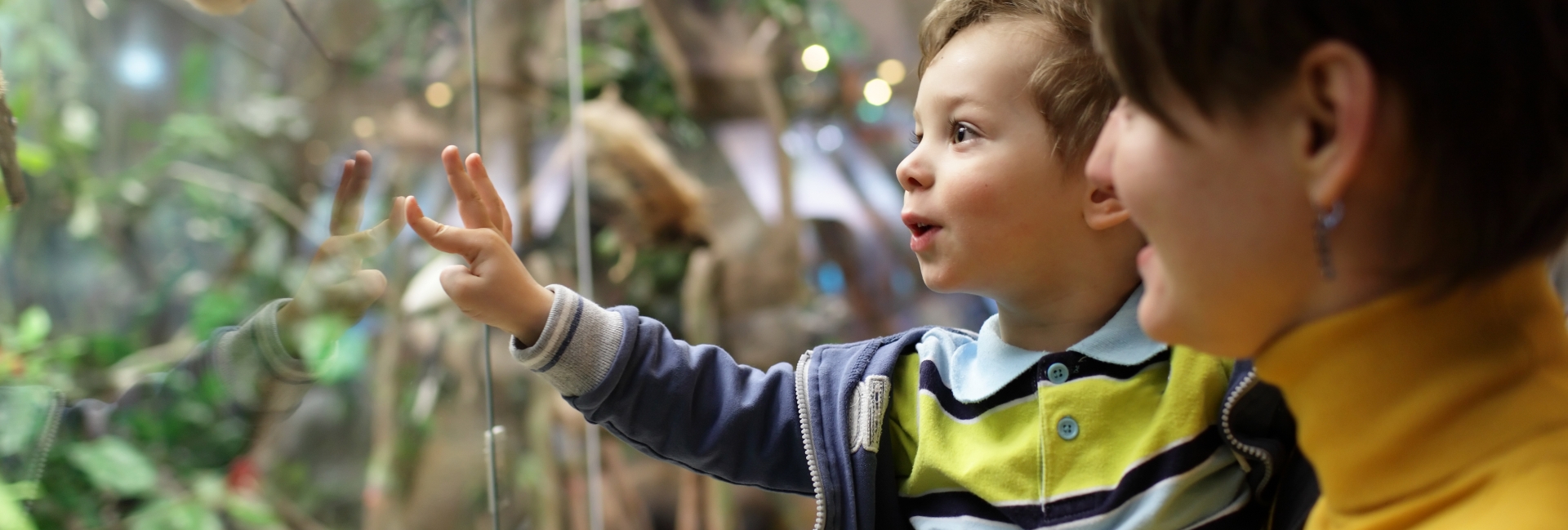 Attività sul territorio - Ca.Stella Farm